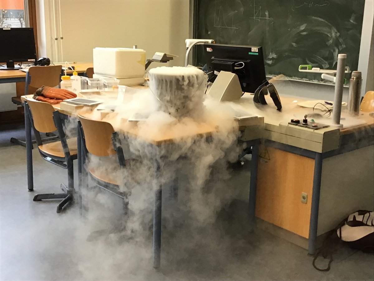 Auflug in den Teilchenzoo – 3. Masterclass Teilchenphysik | Pelizaeus ...